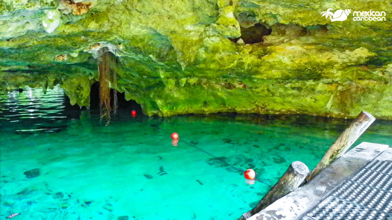 Gran Cenote in Tulum, Cenotes in Tulum